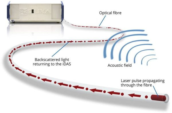 What is Distributed Sensing? Fibre Optic Monitoring System (DTS & DAS ...